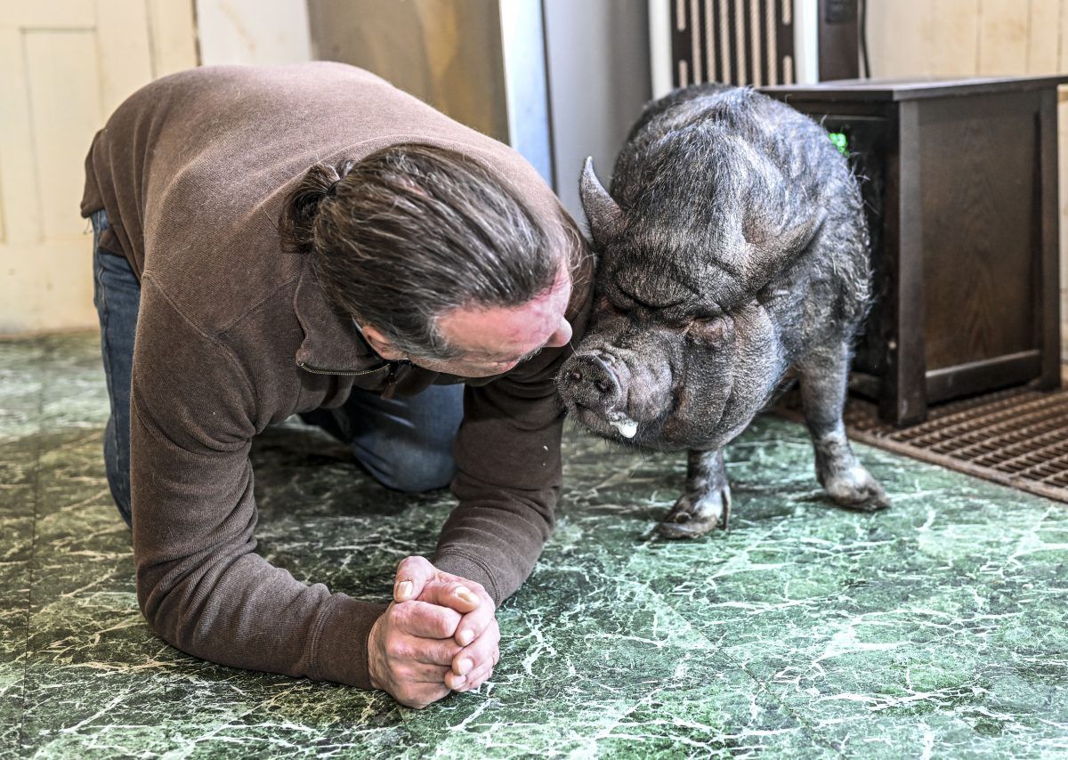 Emotional Support Or Hogwash?