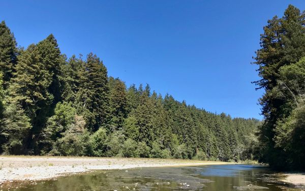 Letters: Redwoods, Justice Ginsburg, live theater, utility b...