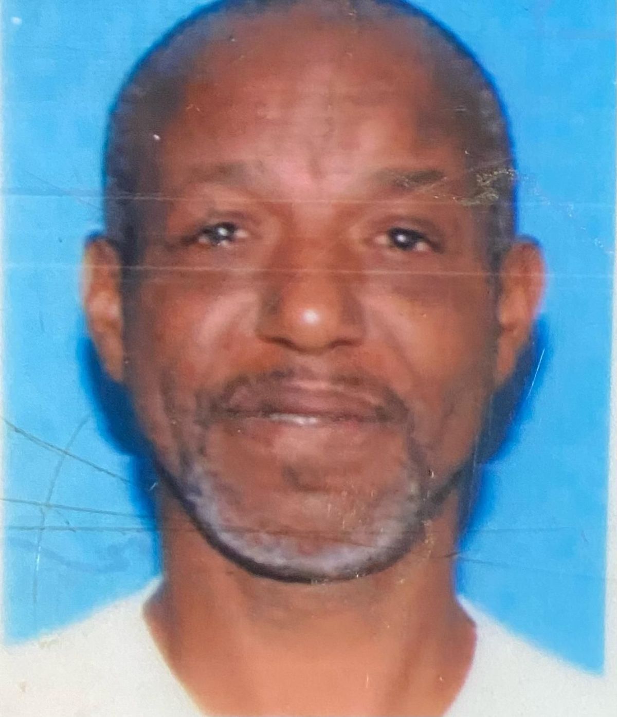 Albert Matthews Davis