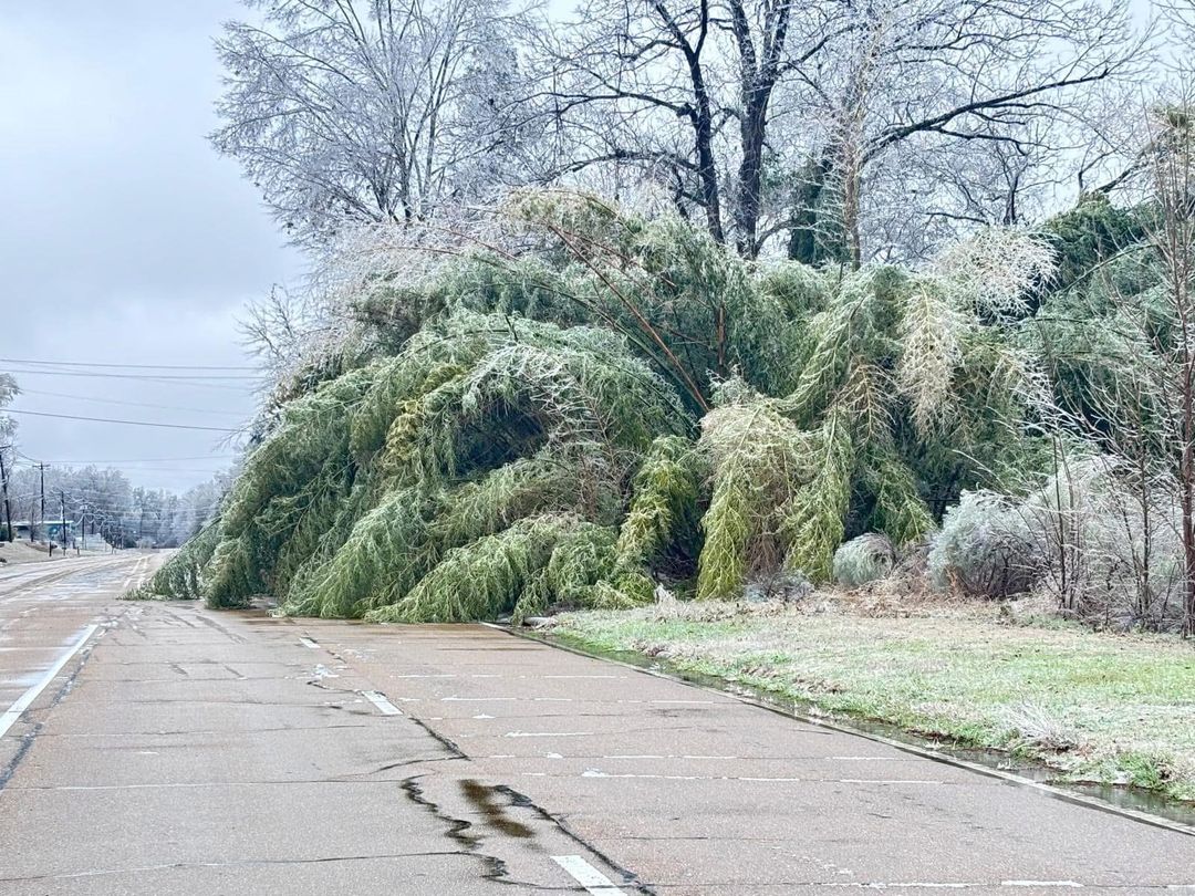 Power outages spread as ice takes hold in Miss-Lou