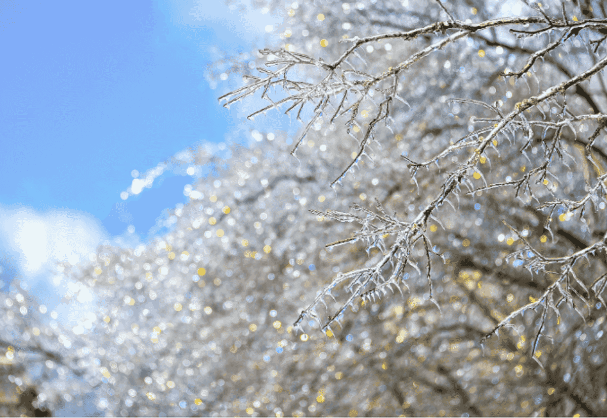 Miss-Lou weather update: Winter Storm Fern eases but thousands in area...
