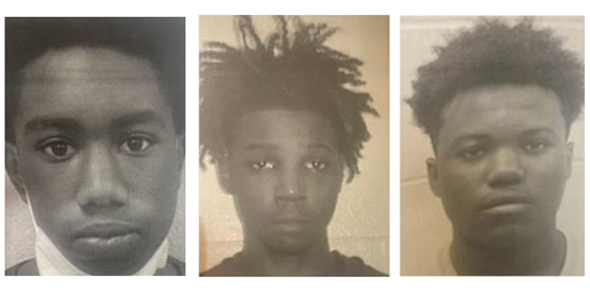 Sheriff on carjacking suspects: 'We hope we can catch them, put the pu...