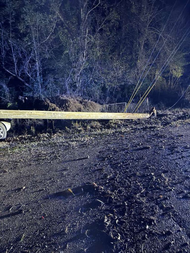 Natchez driver escapes injury after swerving to miss deer on Liberty R...