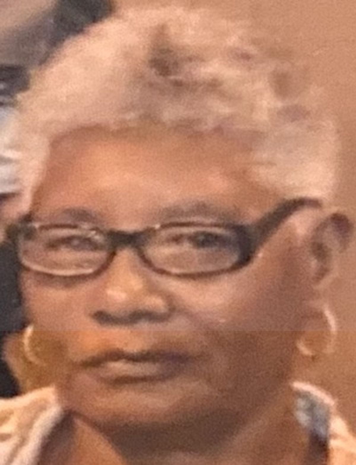 Bessie Lee Johnson Barnes