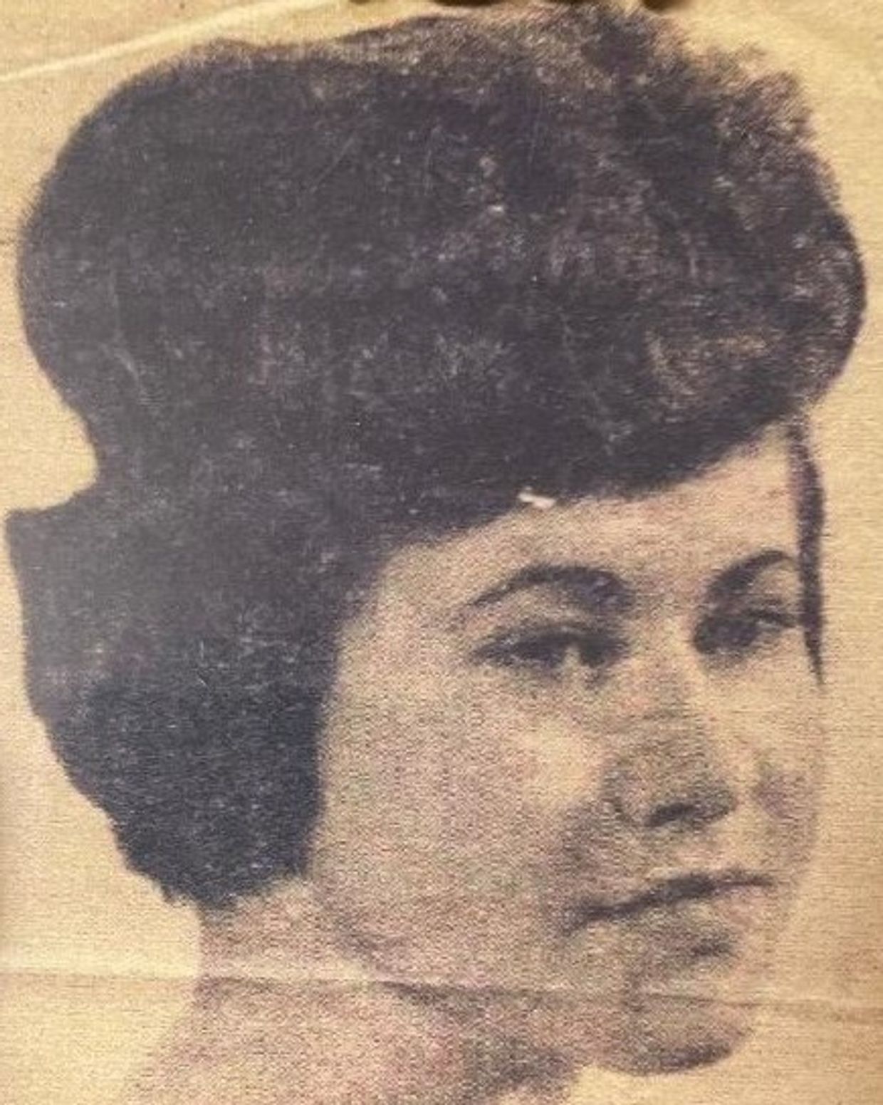 Carrie Stewart McCearley