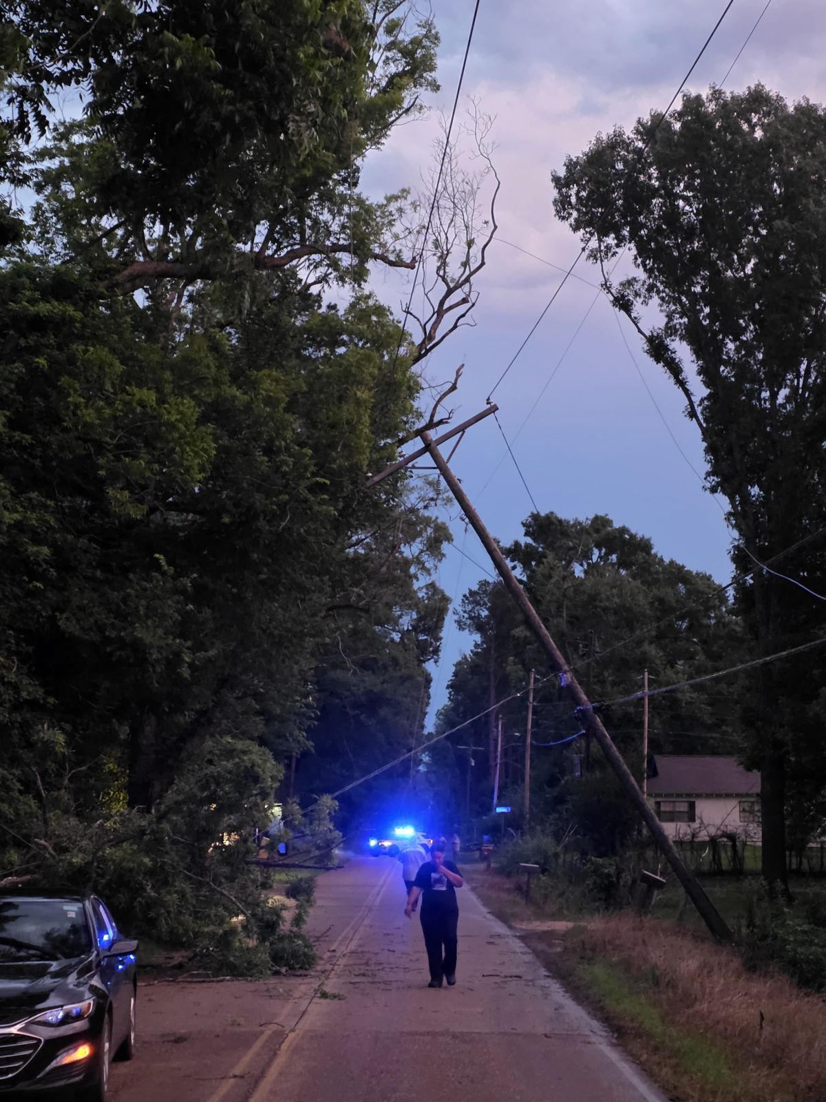 Fallen tree downs power lines on Morgantown Road