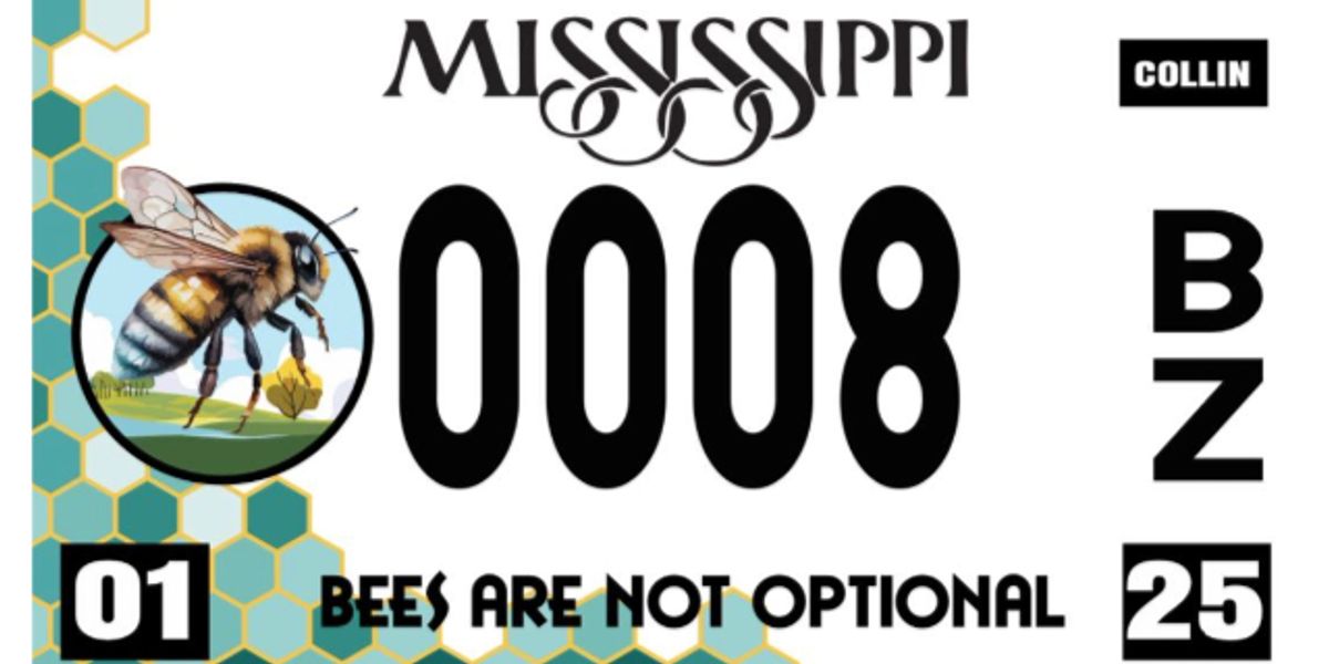 Natchez designers behind new Mississippi car tag soon to be ...