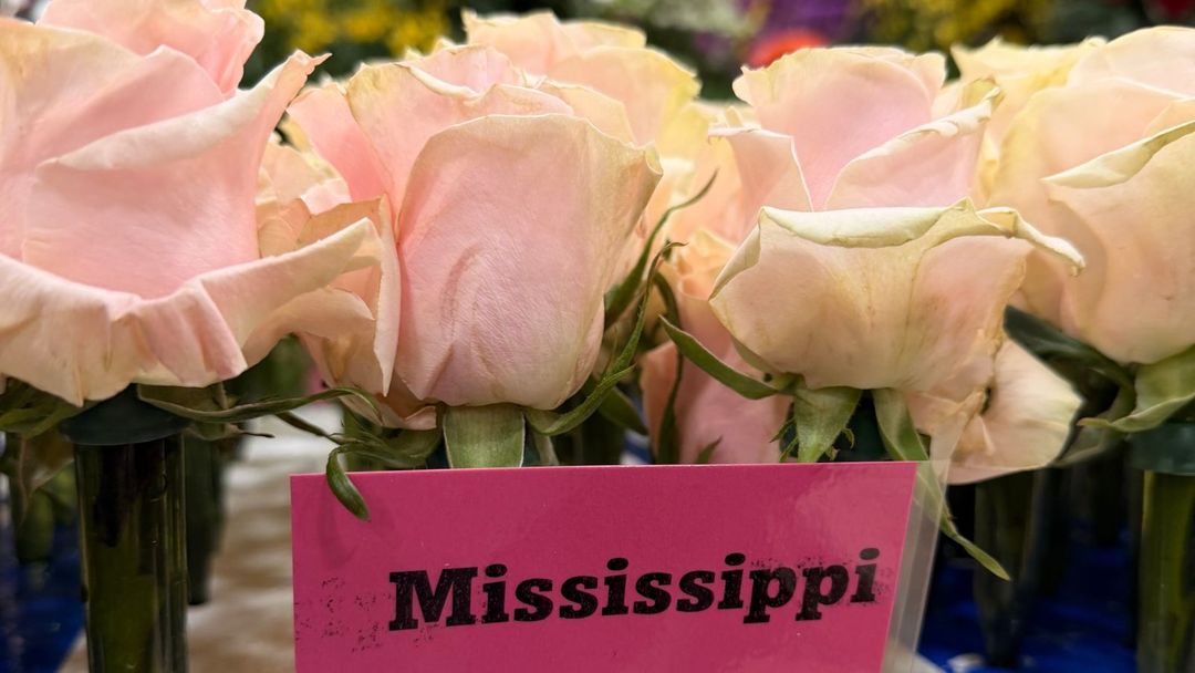 Natchez's Jennie Guido helps bring Mississippi float starrin...