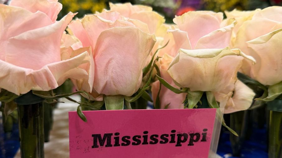 Natchez's Jennie Guido helps bring Mississippi float starrin...