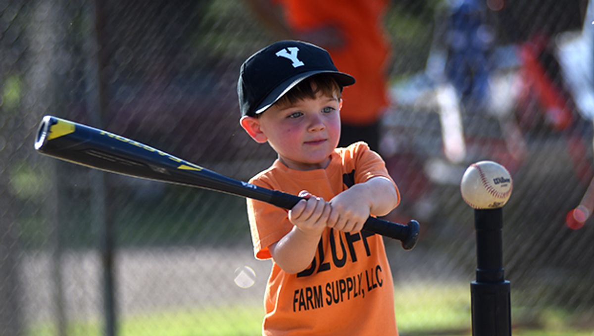 Photo gallery: T-ball players delight on the field