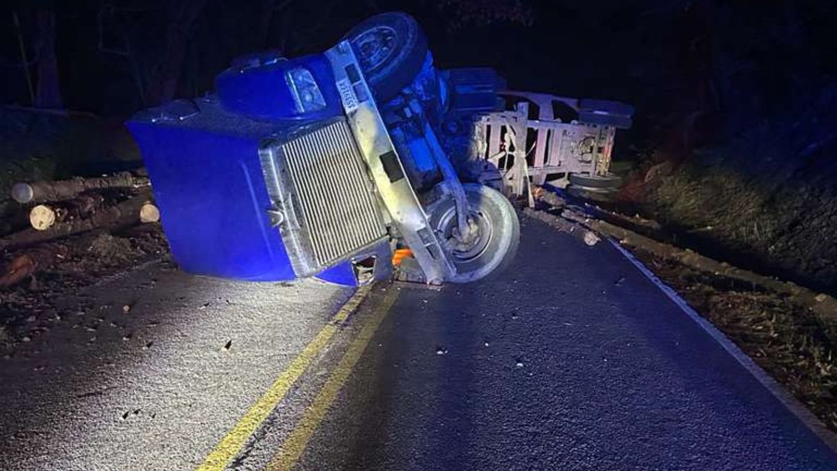 Loaded log truck overturns on North Palestine Road near Duck...