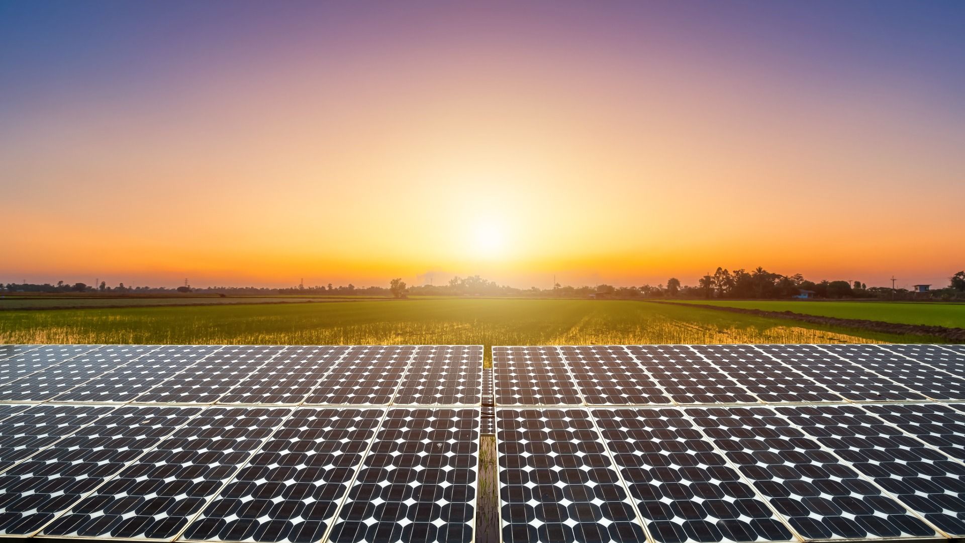 Crime Reports: Police, sheriff's activity through Tuesday, Sept. 16, 2...