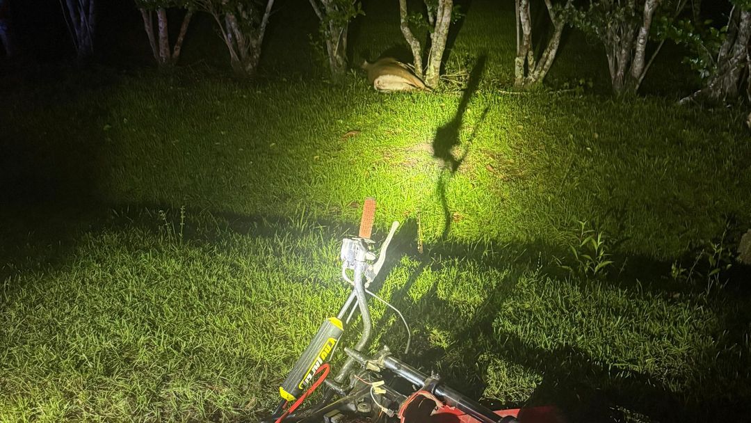 Dirt bike rider injured in Adams County deer collision as sh...