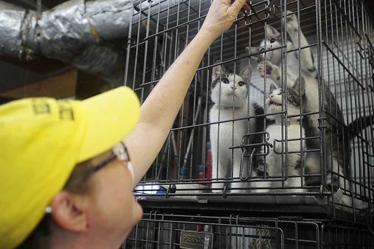 Local animal shelter is getting a new home