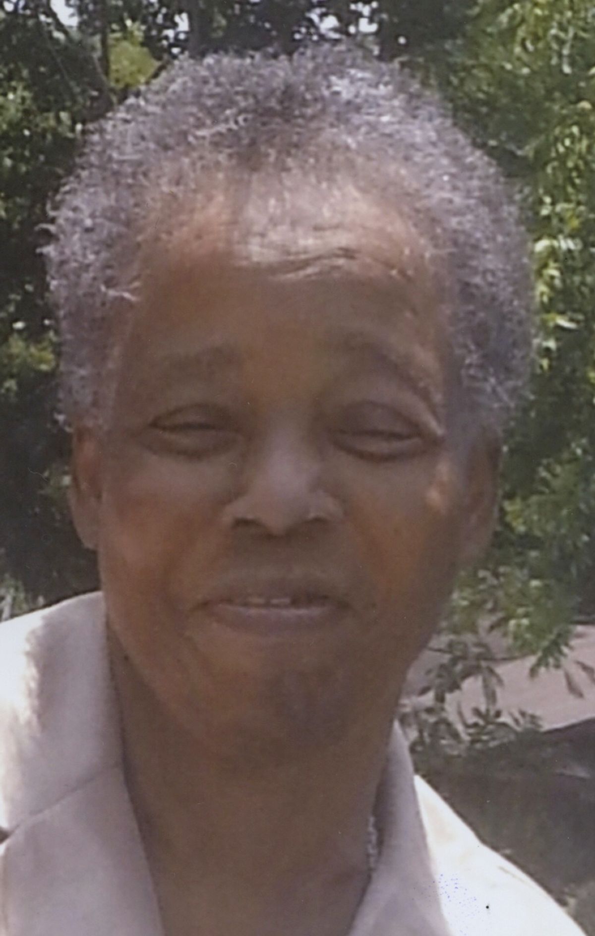 Ann H. Snell