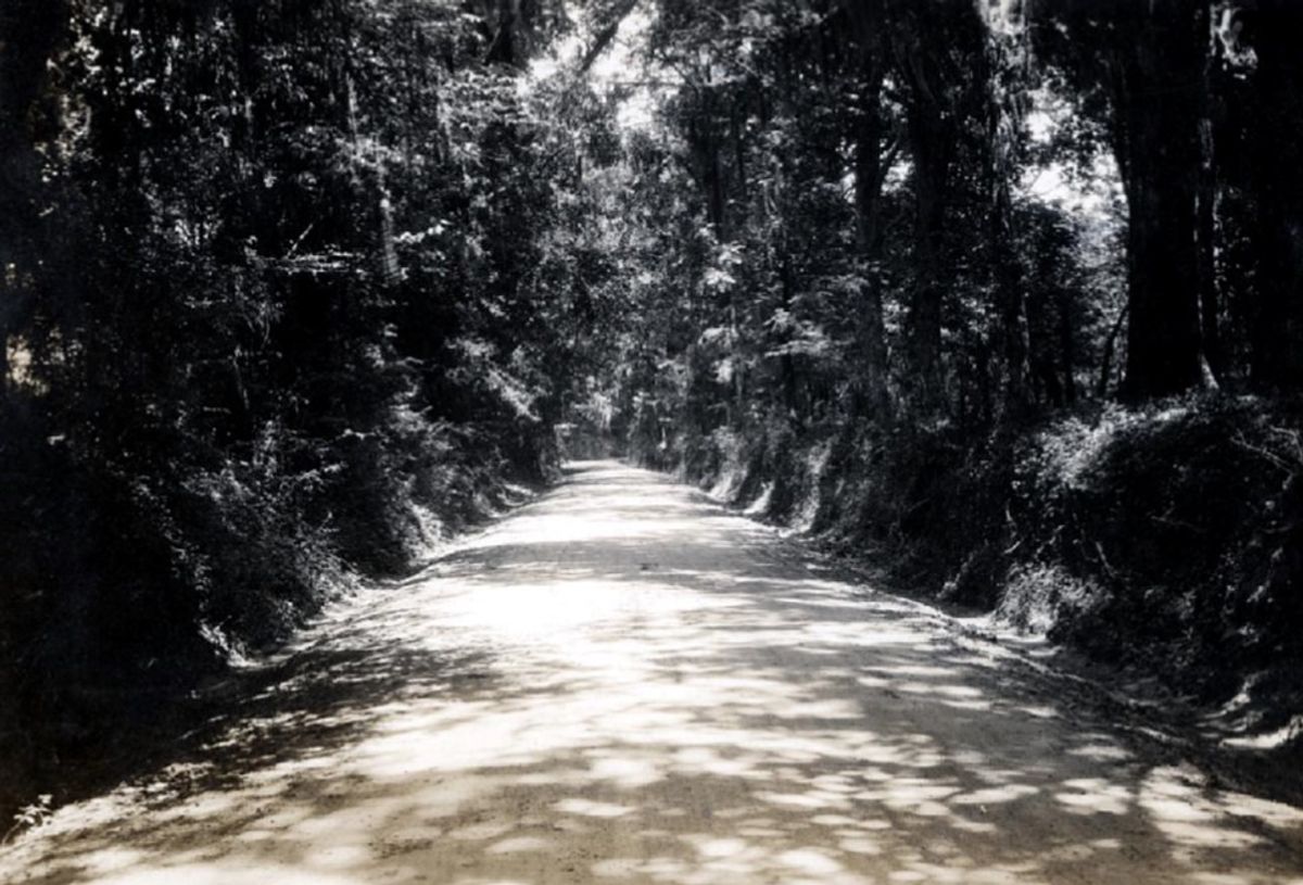 Looking back: Pine Ridge Road