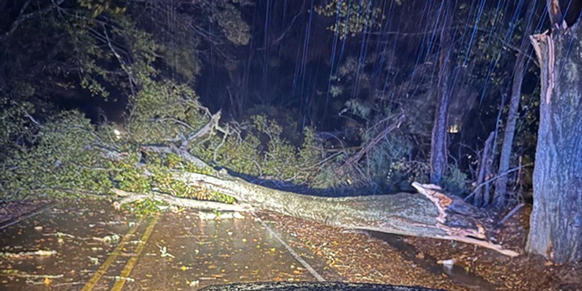 Trees topple on top of houses during storm; First responders arrive to...