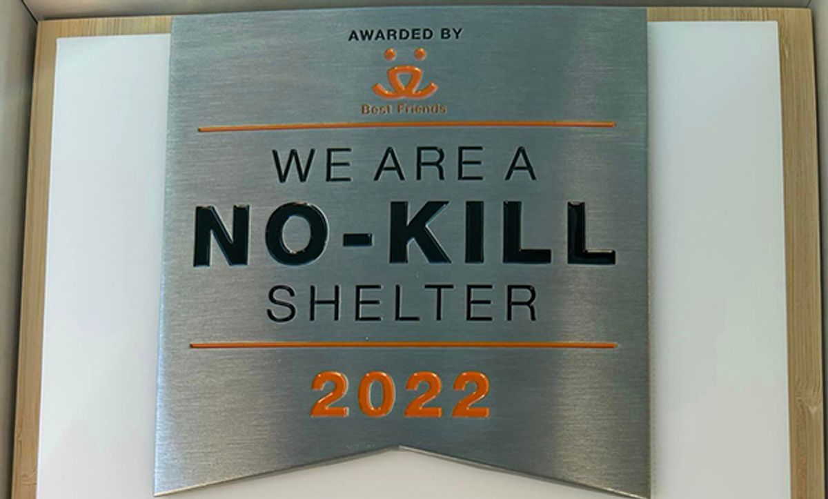Natchez animal shelters earn coveted 'no-kill' designations