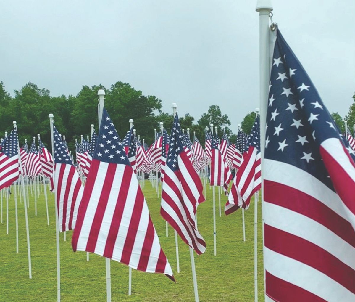 Johnston County Flags for Heroes celebrates 5th anniversary