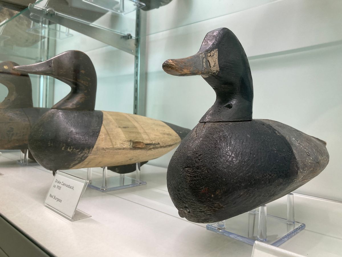 Tobacco Farm Life Museum to host duck decoy exhibit