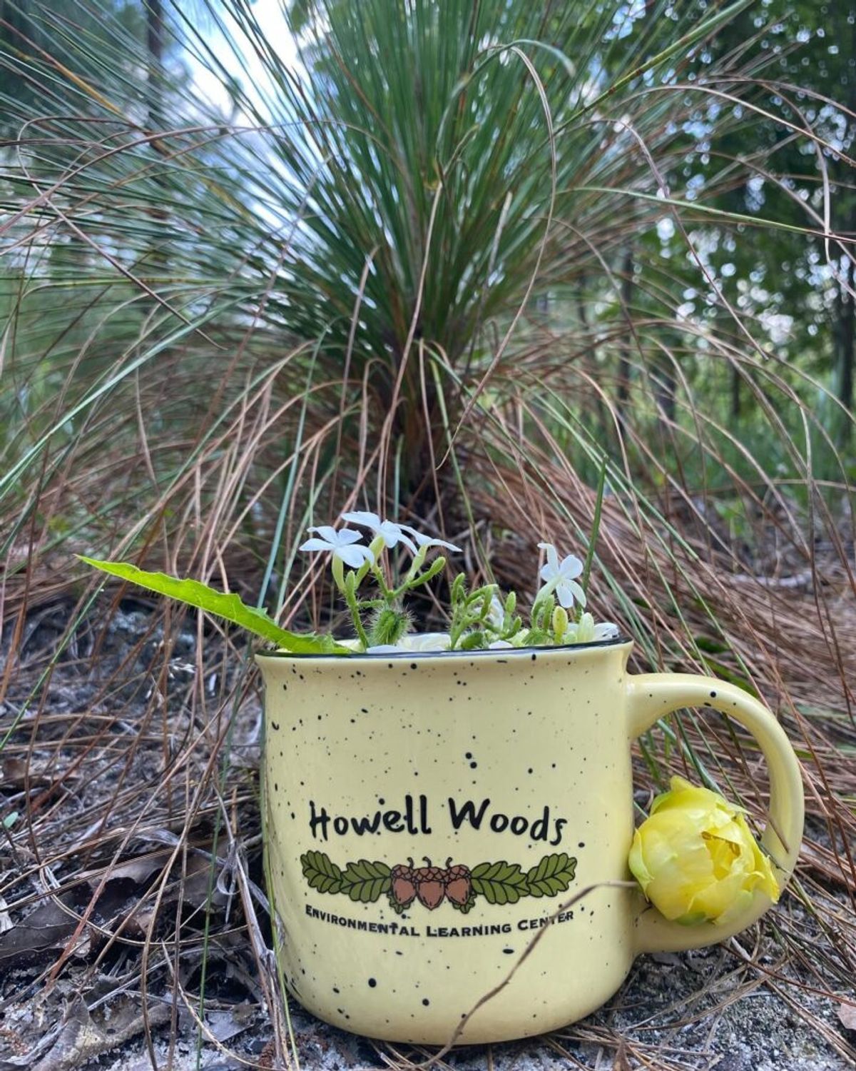 Howell Woods to showcase pollinator garden