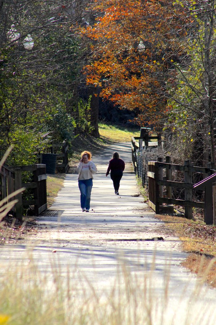 Nice day for a walk