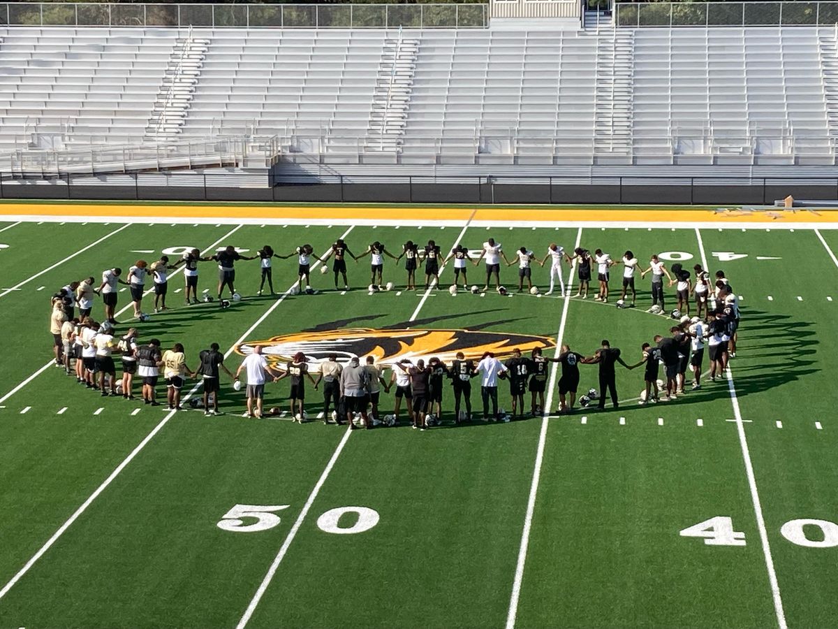 Introducing new Tiger Stadium - A historic event