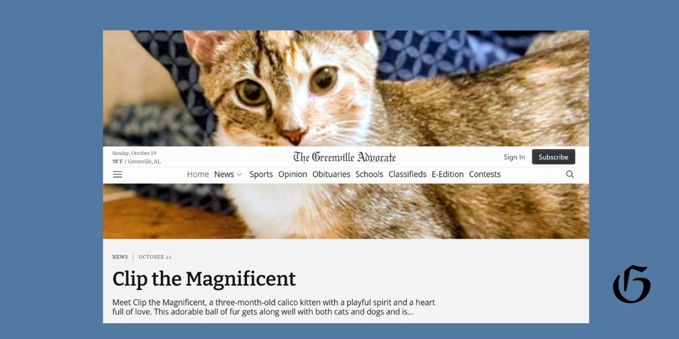 Welcome to The Greenville Advocate's New Website