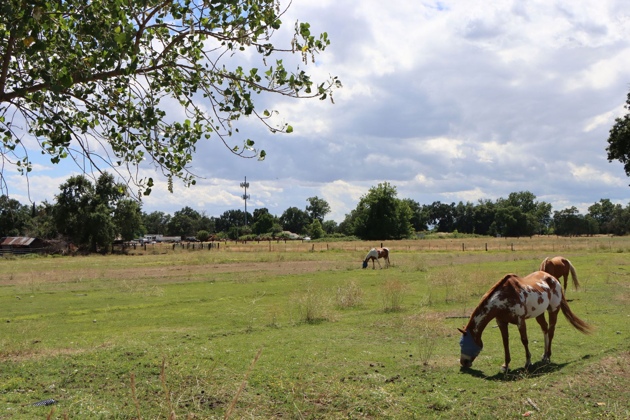 Wasting No Time: Rural North Valley counties are exempt from...