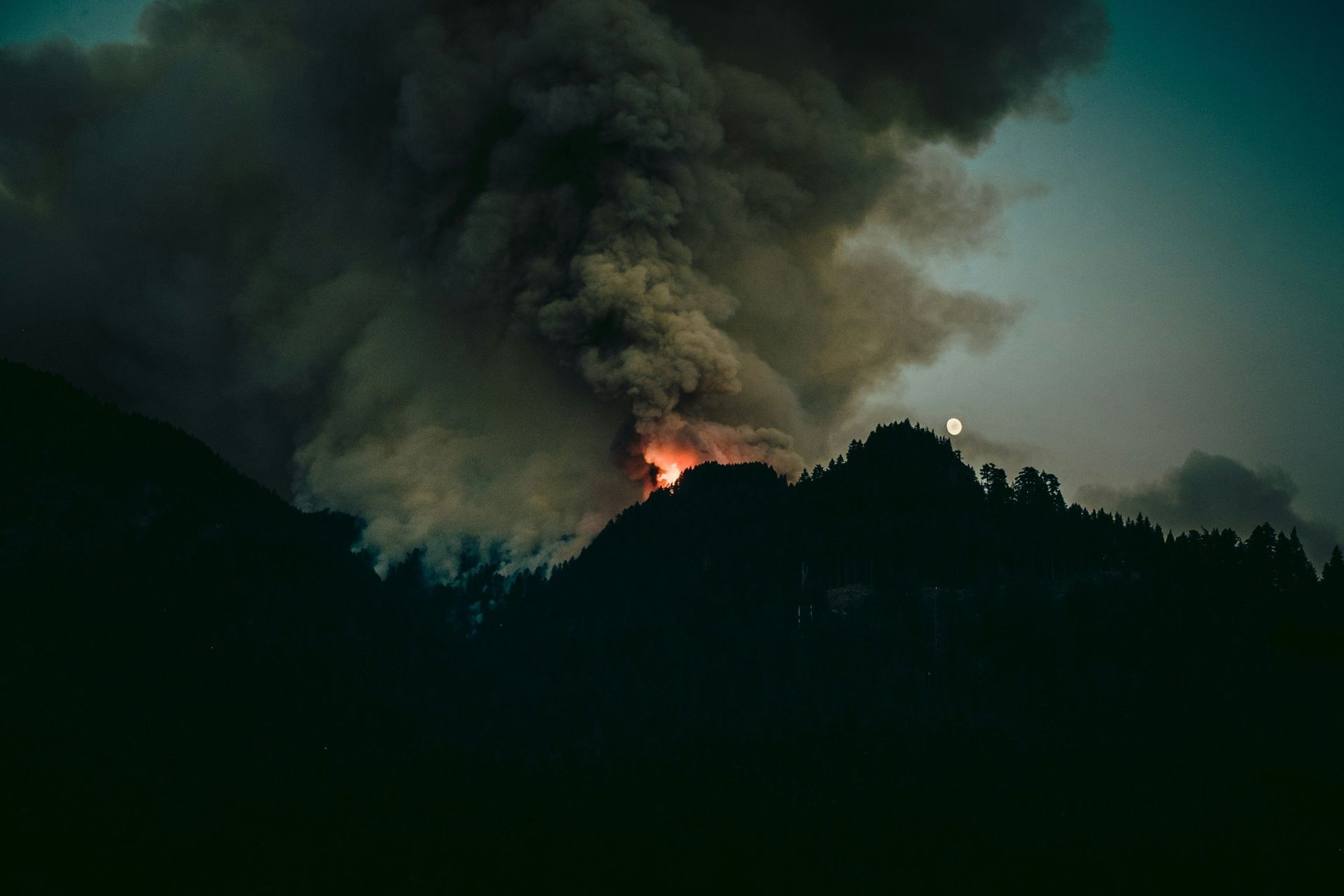 Climate advocates dismayed by Trump victory; buoyed by state...