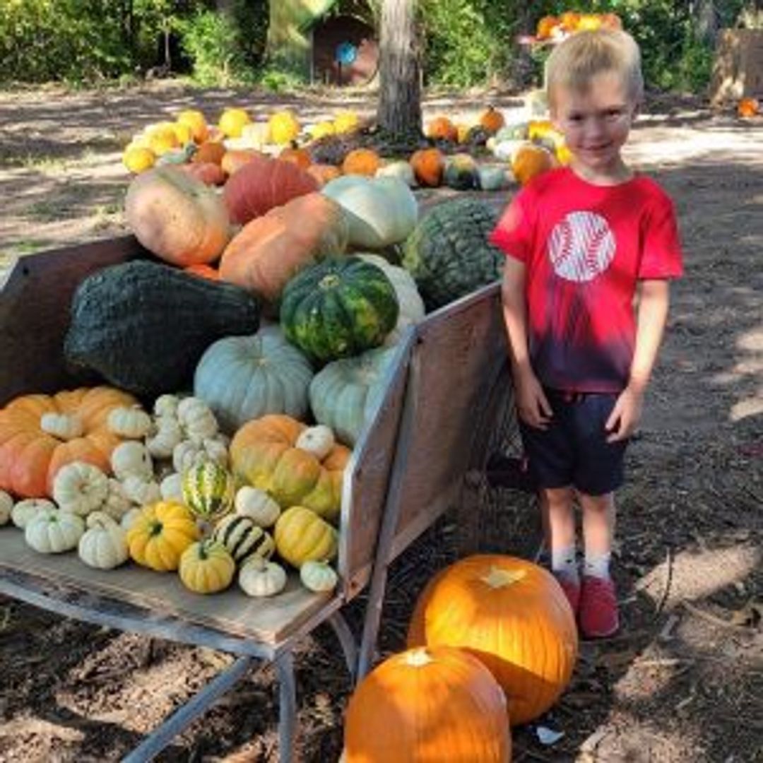 Storybook Hollow looks to create fairytale memories with inaugural fal...