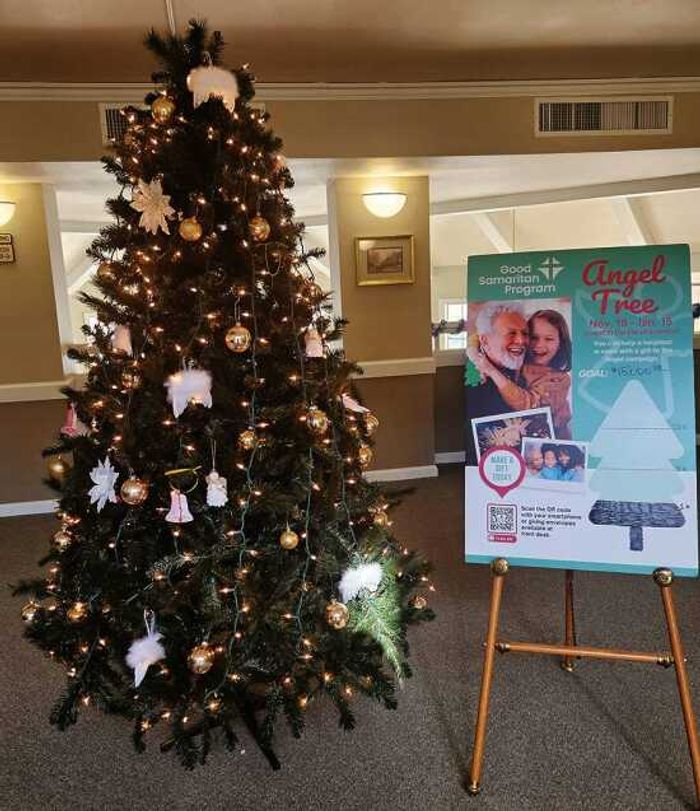 Vote now in annual tree contest at Presbyterian Village