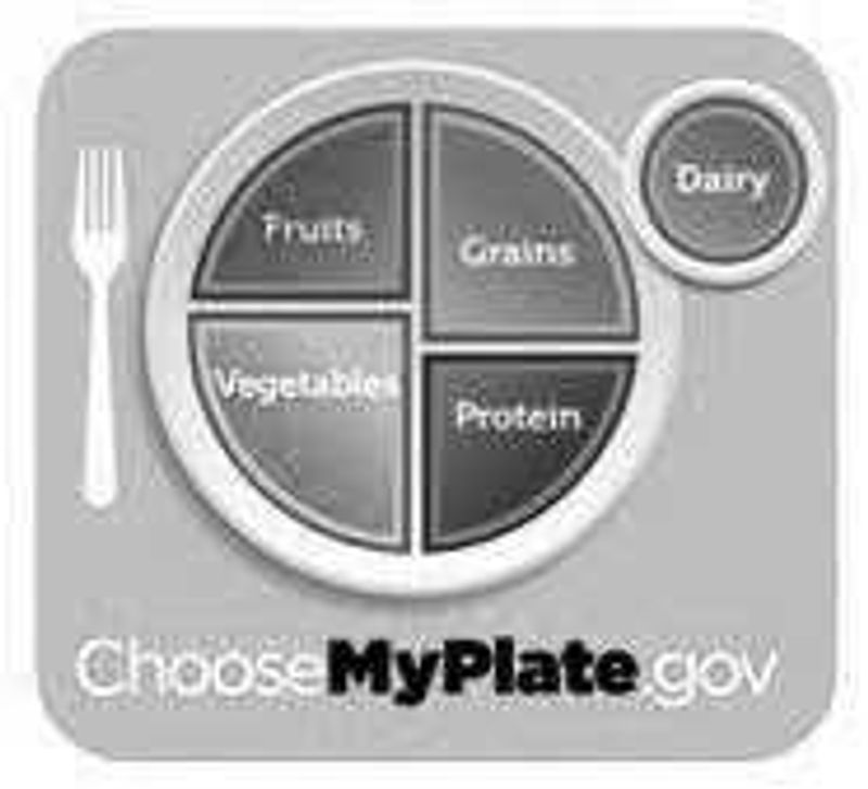 Introducing MyPlate, the new food icon