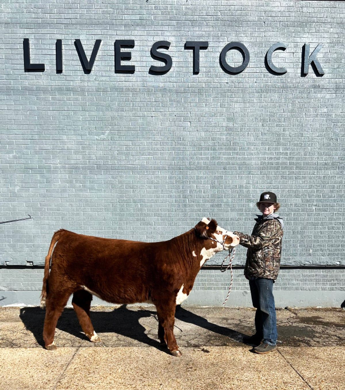 SAE spotlight — From Dirt Bikes to Herefords: Mason Mayfield’s Journey...