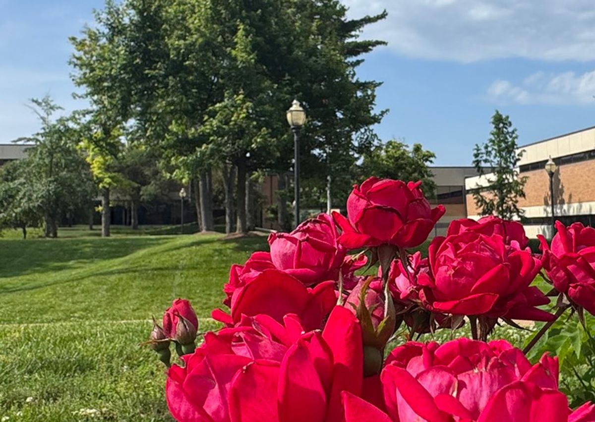 Bollinger students make MAC Dean’s List