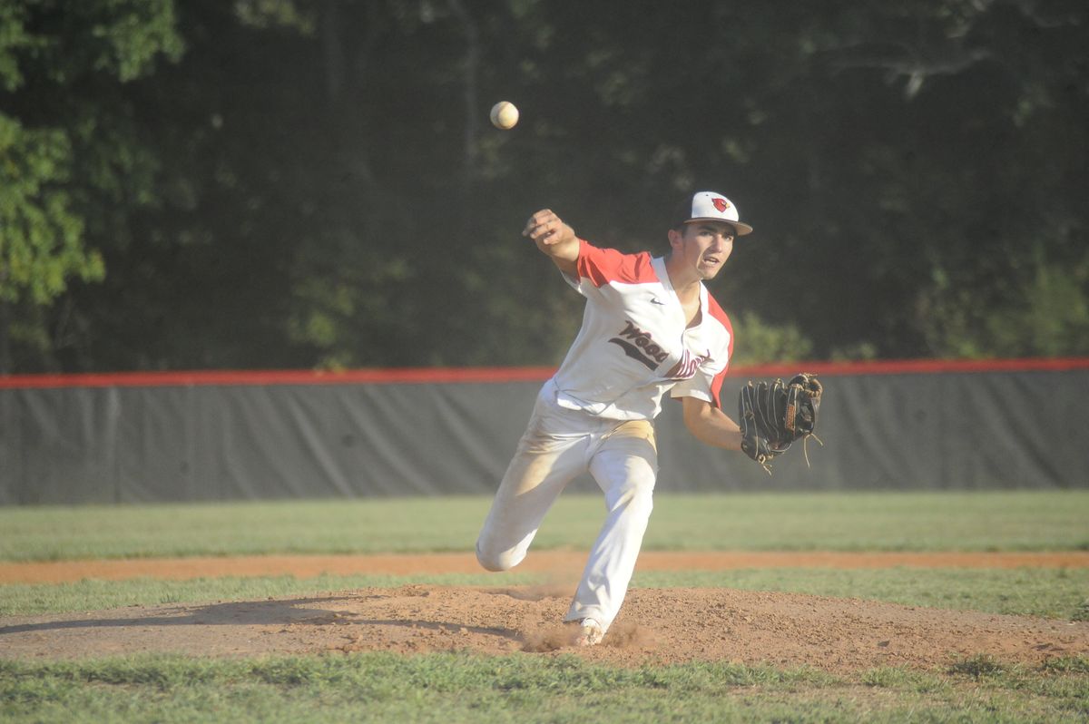 Woodland pitchers strike out 17 in 2-1 home win over Meadow ...