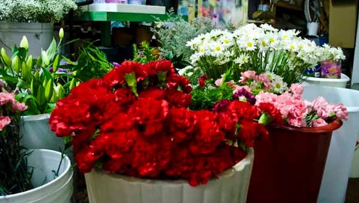 Flower power
