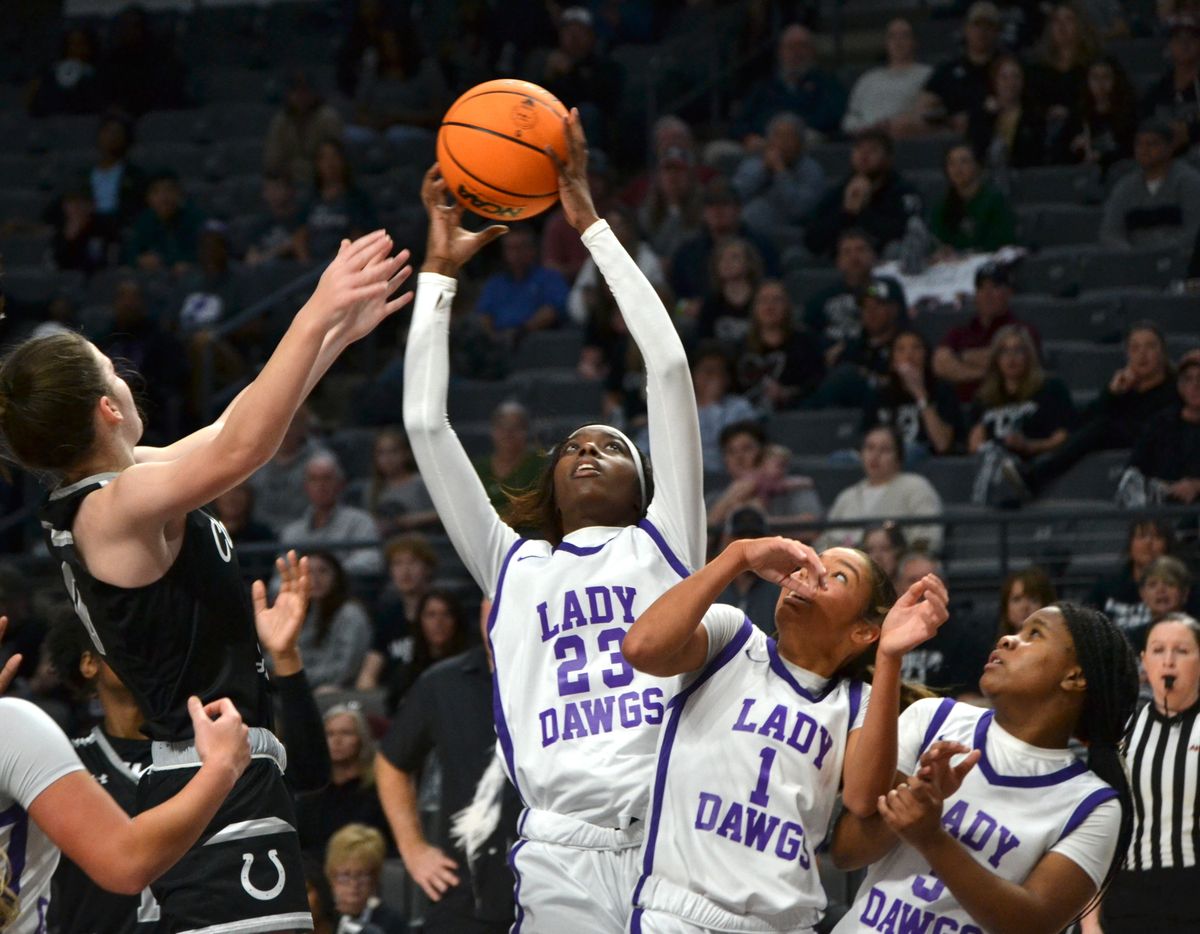 Lady Dawgs fall to Clements in Final Four