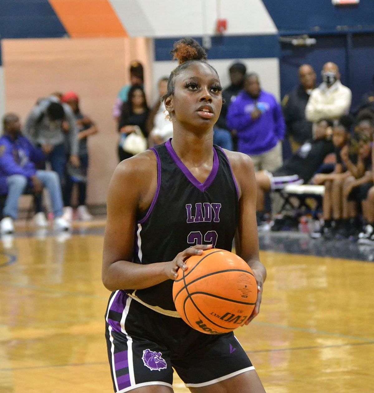 Lady Dawgs advance to area championship