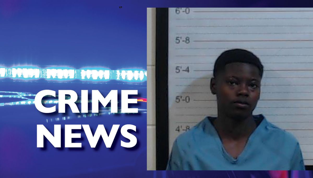 Multi State Retail Theft Suspects Captured In Troy After Pursuit