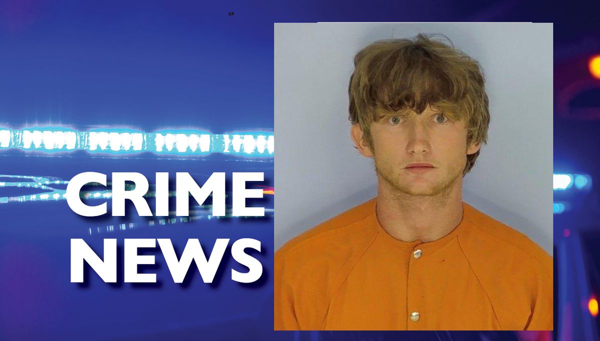 Troy teen Walker Phillips arrested in Florida road rage inci...