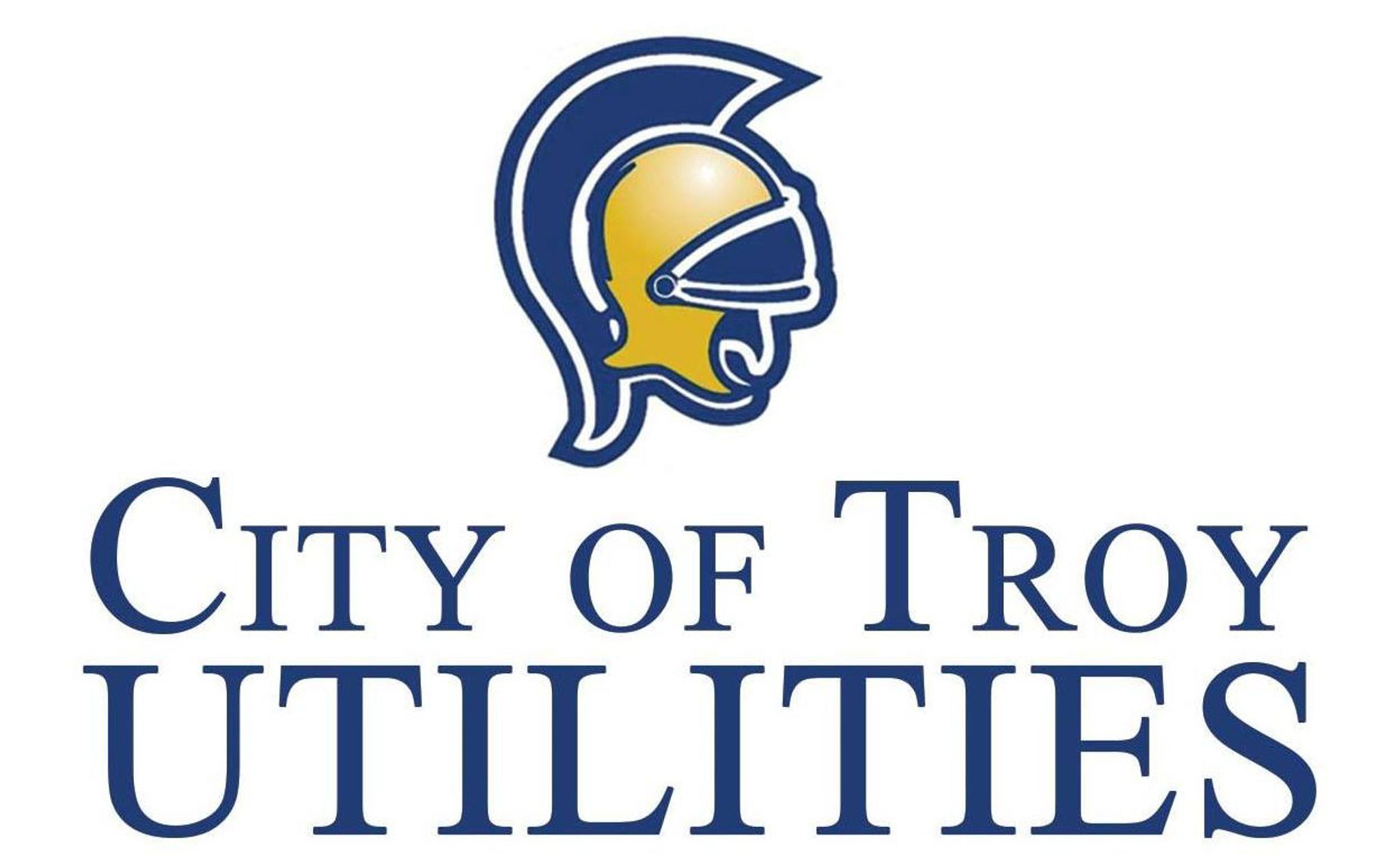 Troy City Council passes new electric rates