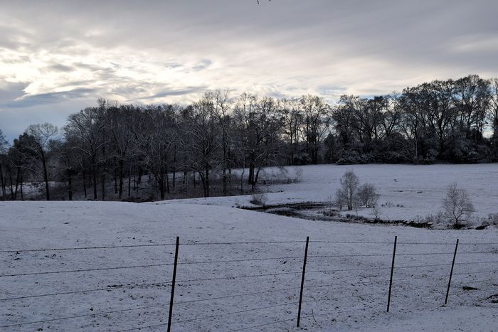 Photos from Brundidge snowfall