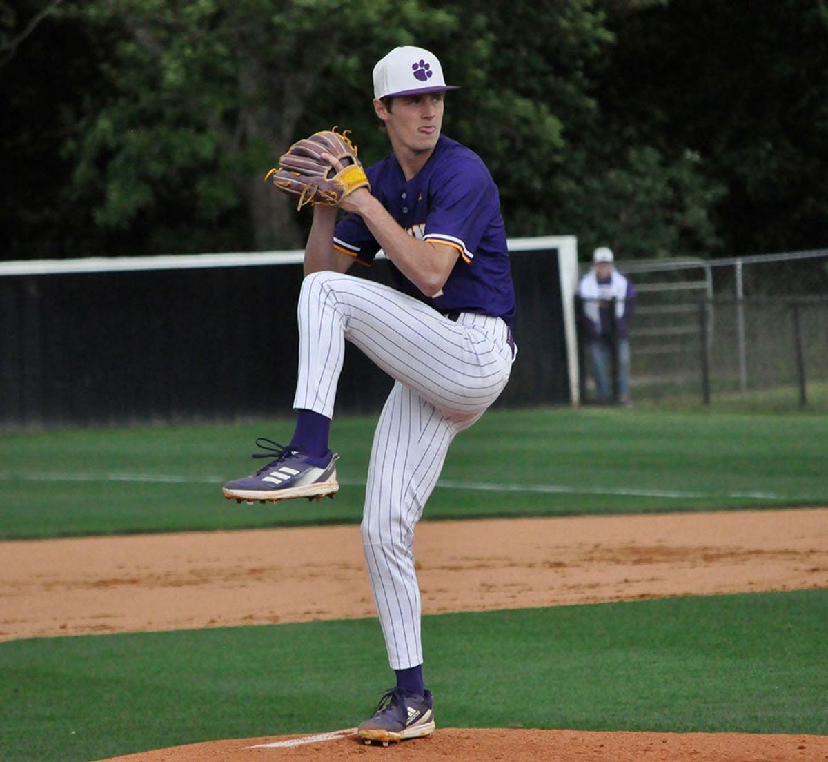 Purple Cats sweep their way to state semifinals