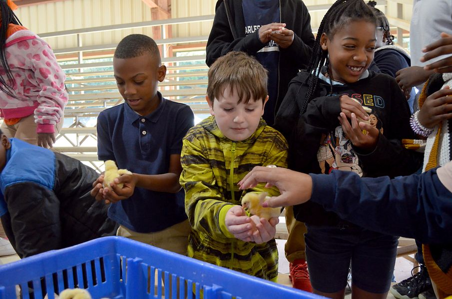 Pike County farming is "hands on" experience