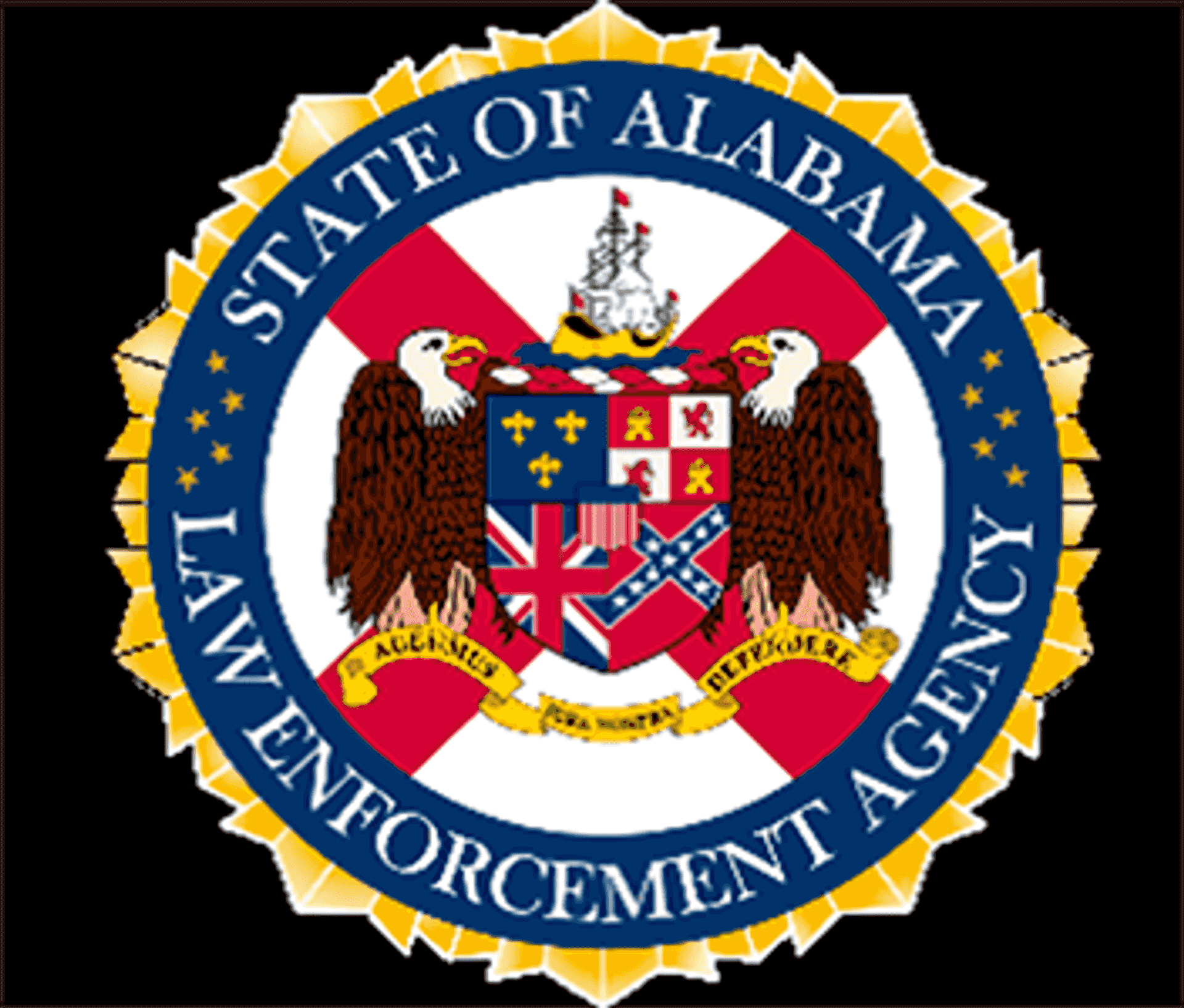 ALEA Launches ’12 Days of Safety’ Campaign