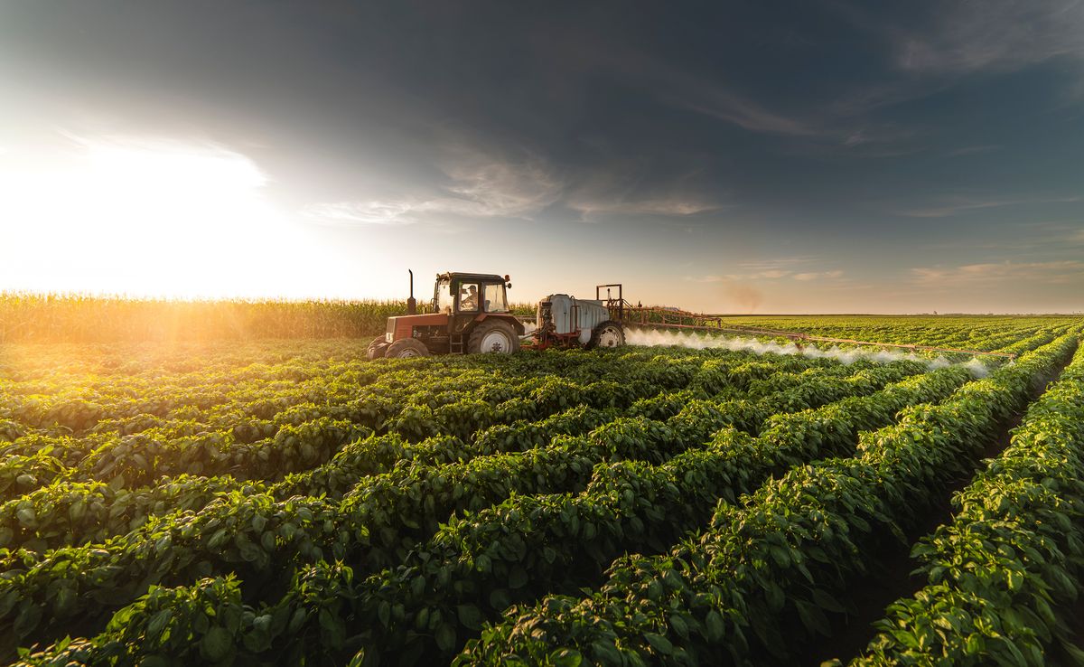 Secure your seat at the Salute to Ag Dinner: A night of reco...