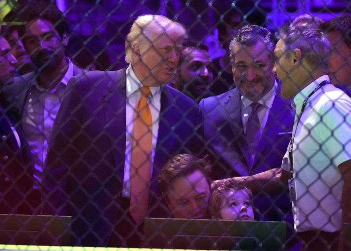 Trump sits cageside at Miami UFC event in his latest appearance at a s...