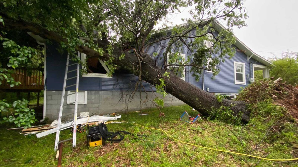 Widespread storm damage following afternoon storm