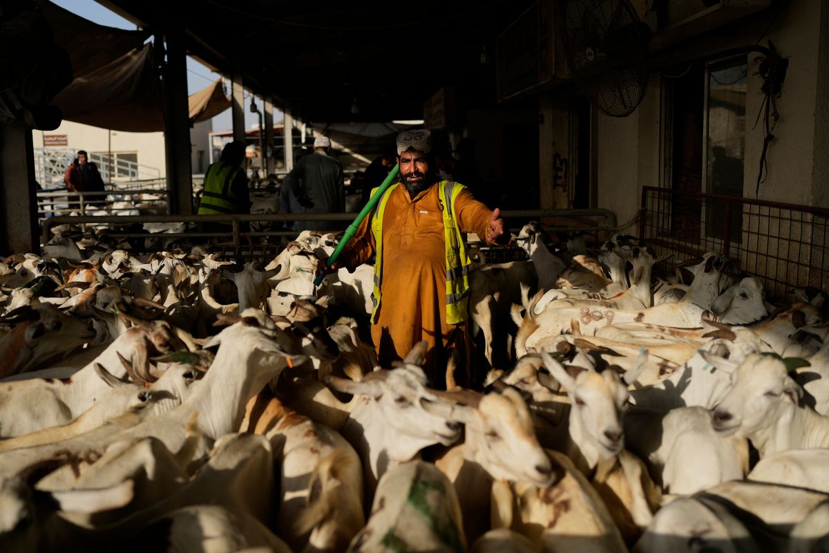 The top photos of the day by AP's photojournalists